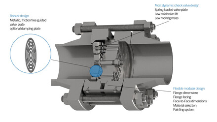 Plate check valve - Components for reciprocating compressors - Products ...